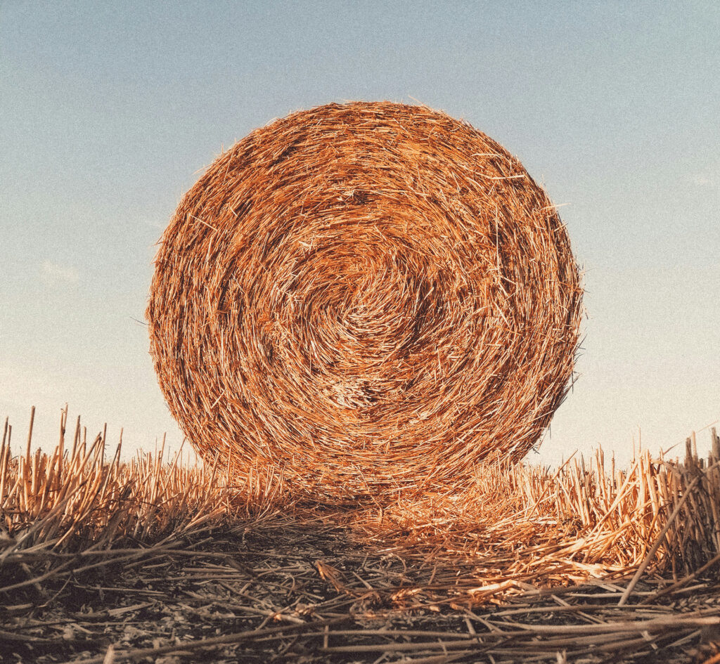 LCA Review - Climate Footprint of Straw Pyrolysis & Straw Biogas - 2-0 LCA